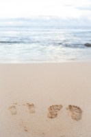 Lokahi – (Loh-kah-hee): Unity. Living in harmony with our environment ...